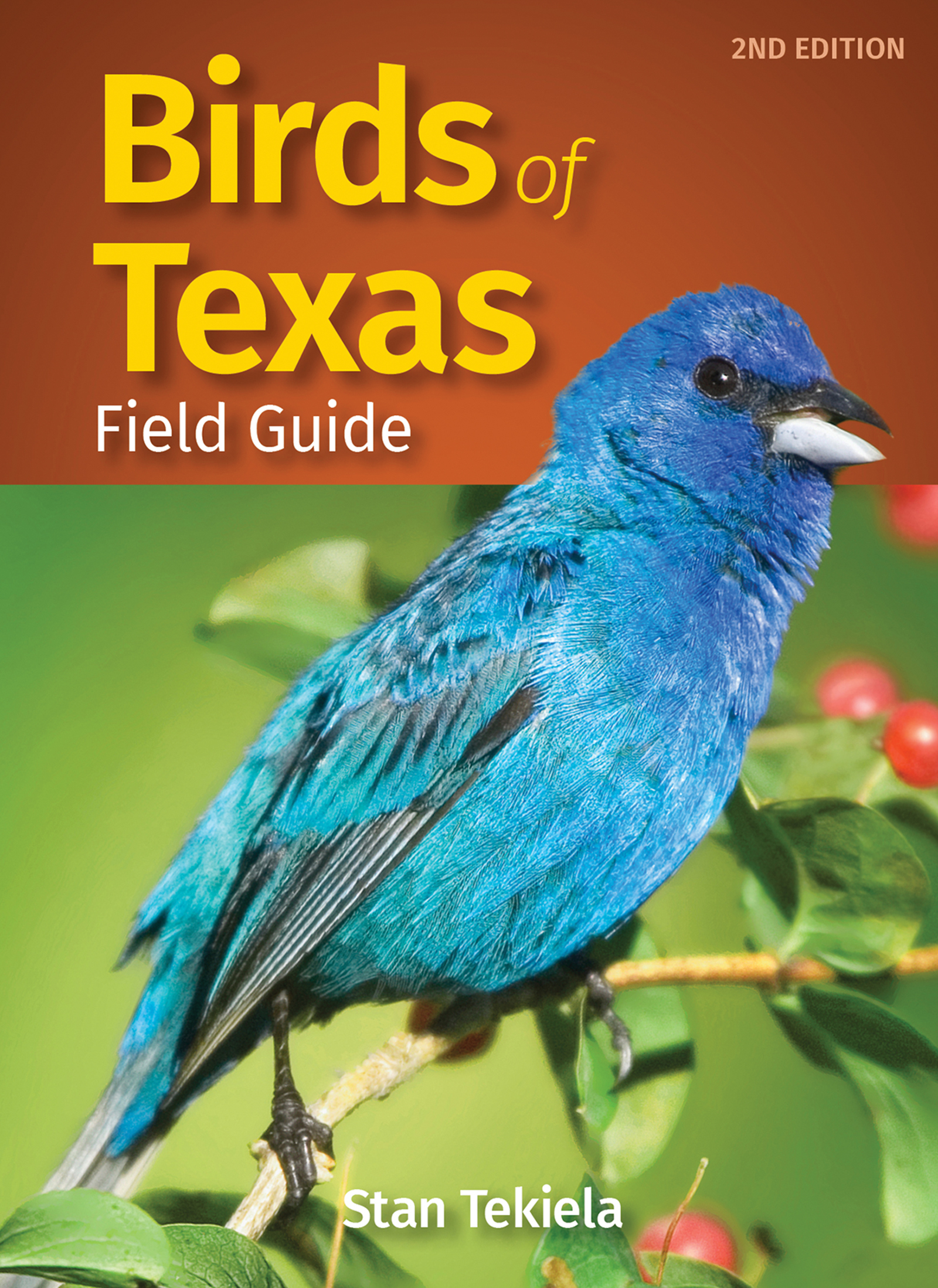 Discovering the Birds of Texas - Adventure Publications