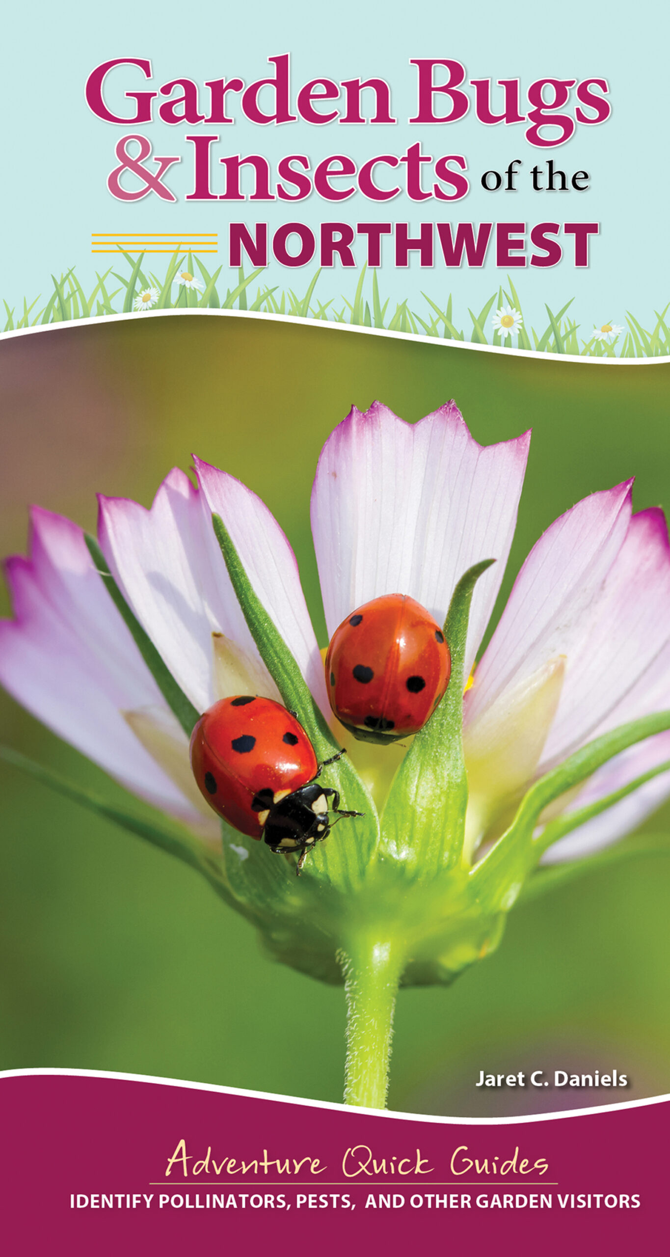 How to Identify Pollinators, Pests, and Other Garden Visitors in the ...
