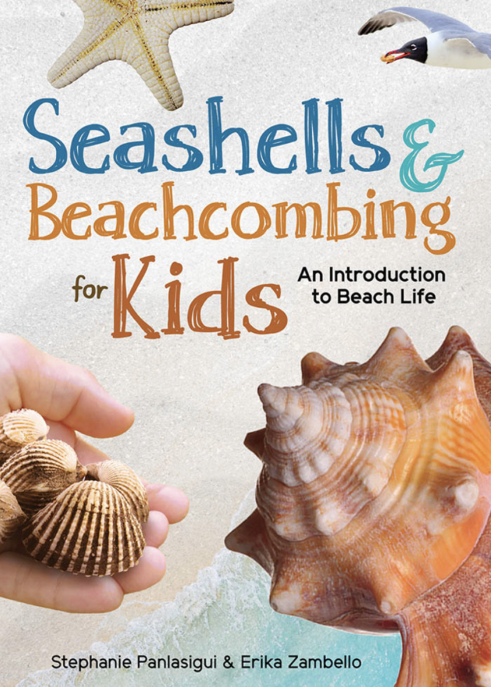 Seashells & Beachcombing for Kids, an Introduction to Beach Life ...