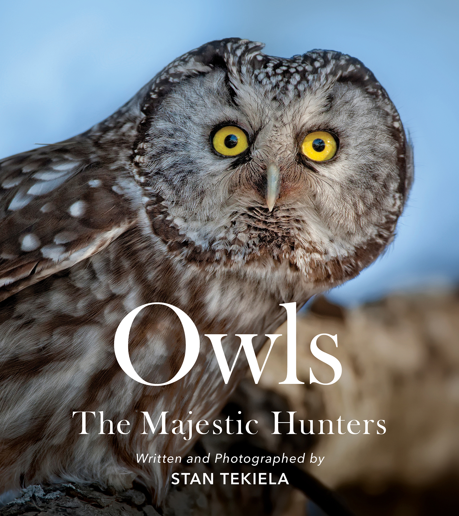 The Amazing World of Owls - Adventure Publications