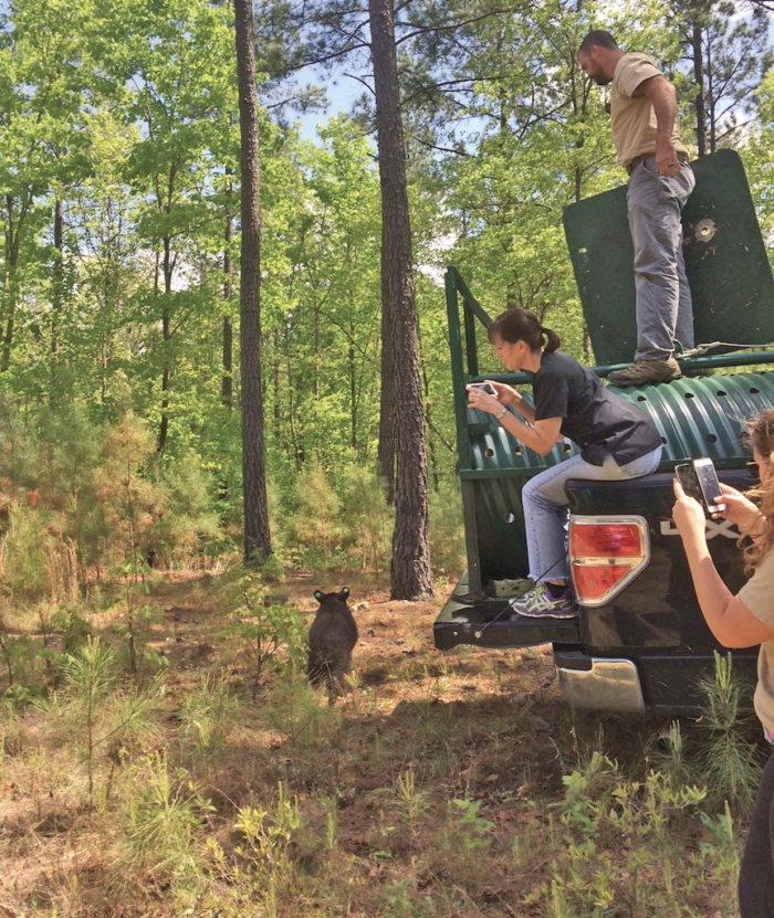 Bailey the Bear Needs Help! - Adventure Publications